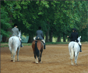 What’s So Rotten About Rotten Row? – Laurie Benson's Cozy Drawing Room